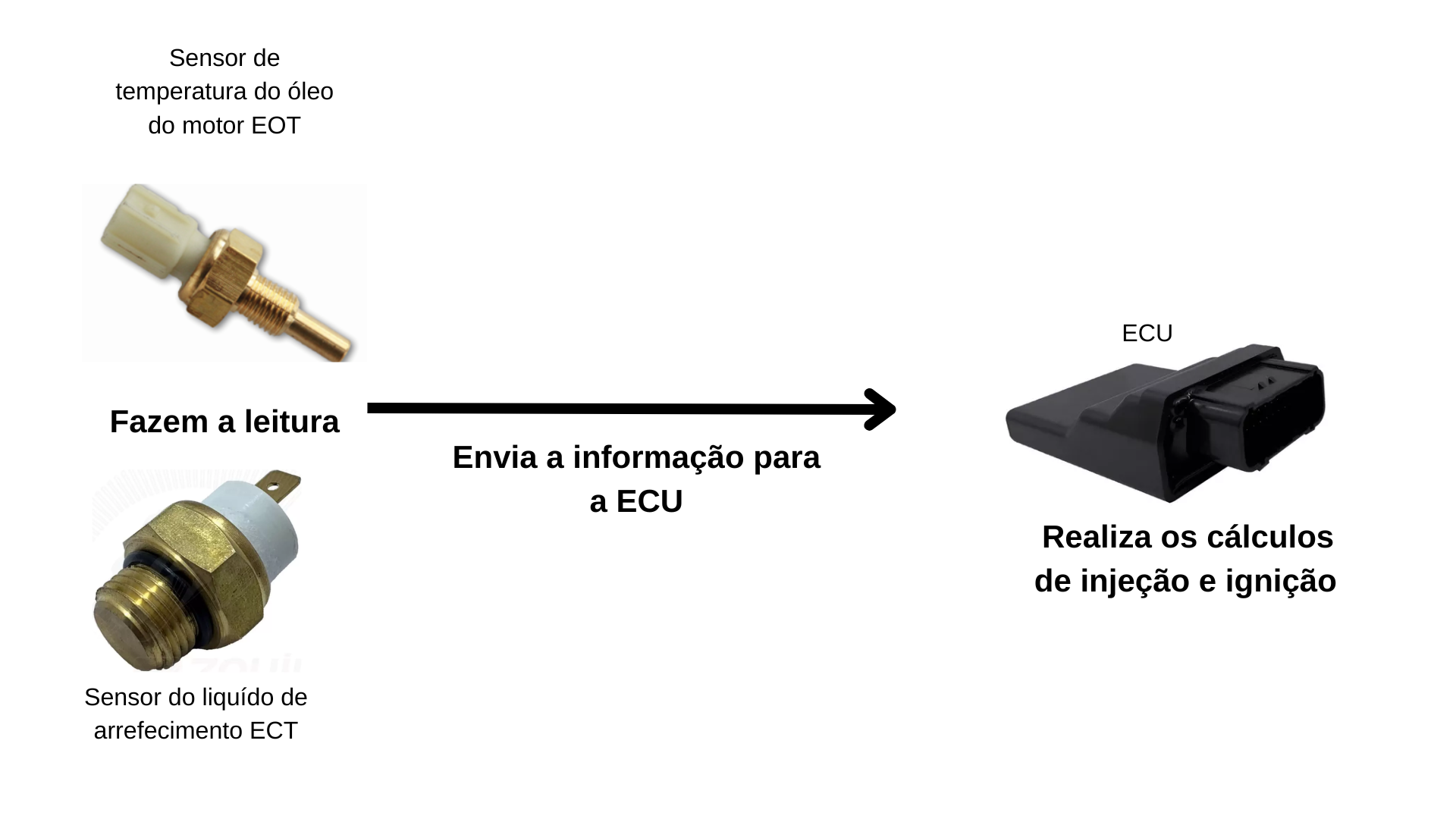 Sensores e Atuadores da Moto: Entenda Suas Funções - Manual Duas Rodas